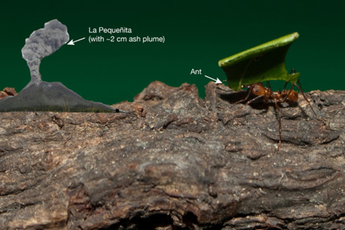 World's Smallest Volcano Discovered in Colombia | Discover Magazine