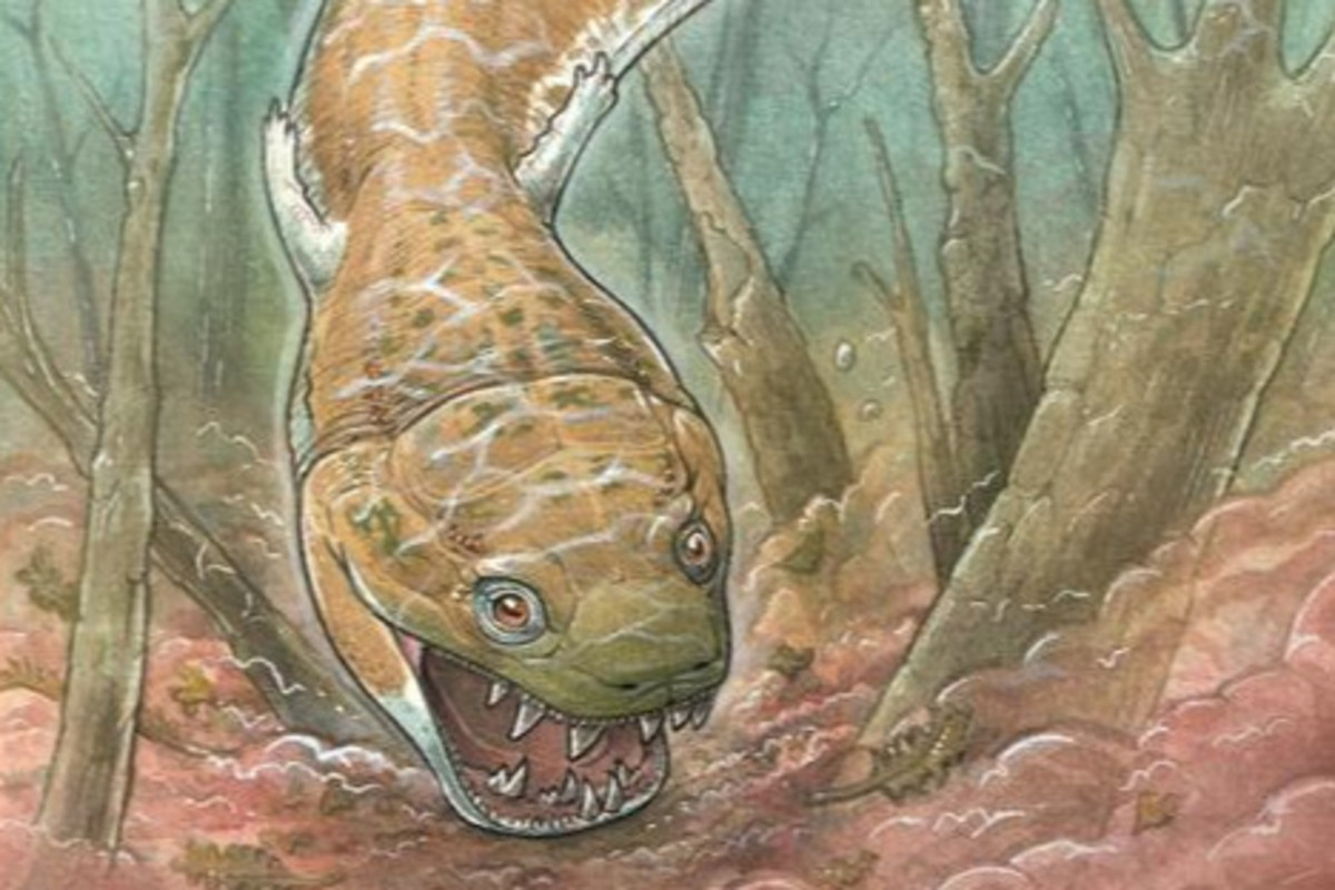 A Prehistoric Giant Salamander With Fangs May Redraw an Evolutionary ...