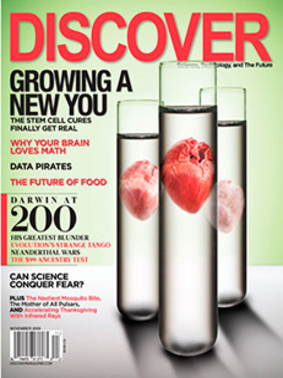 November Issue | Discover Magazine