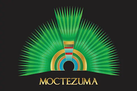 Why Did the Aztec Empire's Headdress of Montezuma End Up in Vienna ...