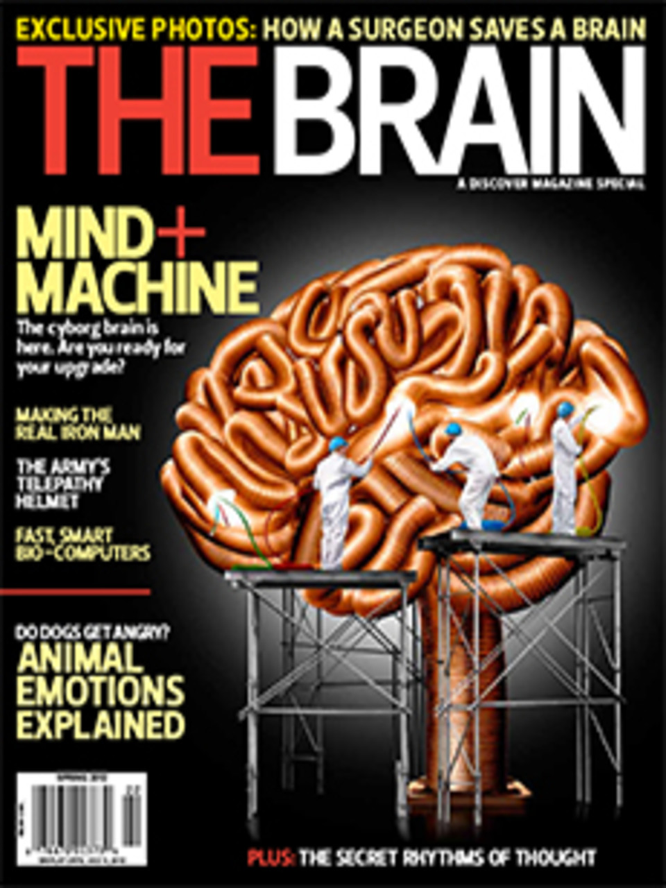 The Brain Issue | Discover Magazine