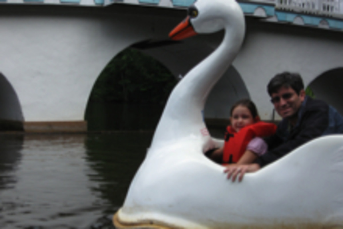 A Lot Of Things Happen While You're Riding A Swan Boat | Discover Magazine