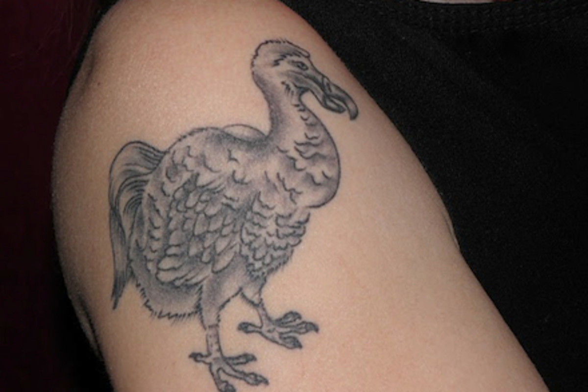 Understanding Extinct [Science Tattoo] | Discover Magazine