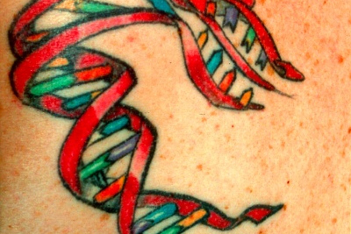 The DNA Monster | Discover Magazine