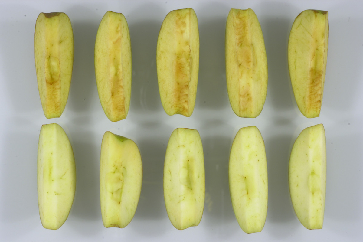 Genetically Modified Non-Browning Apples Are Approved in the U.S ...