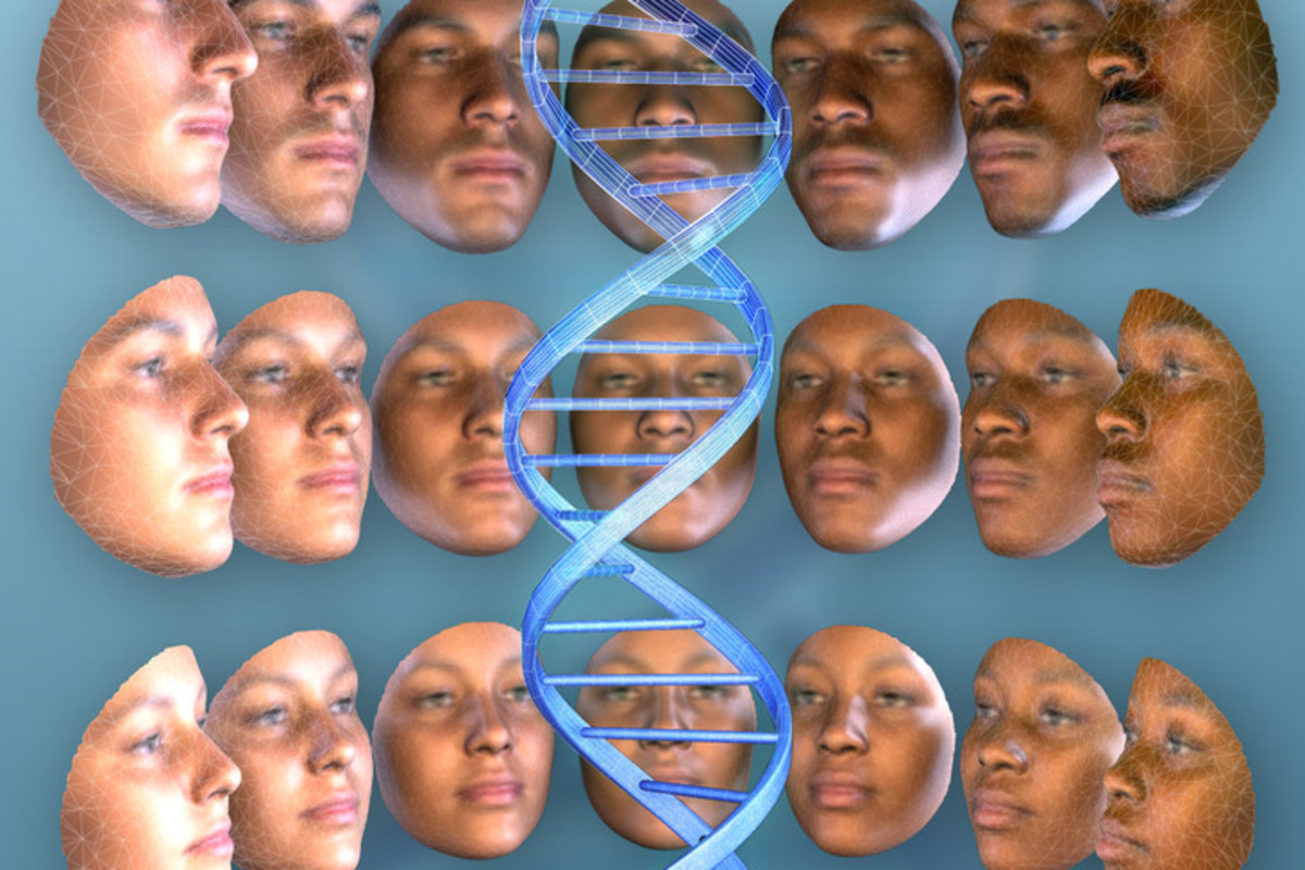 Just Based on DNA, Scientists Can Construct an Image of Your Face ...