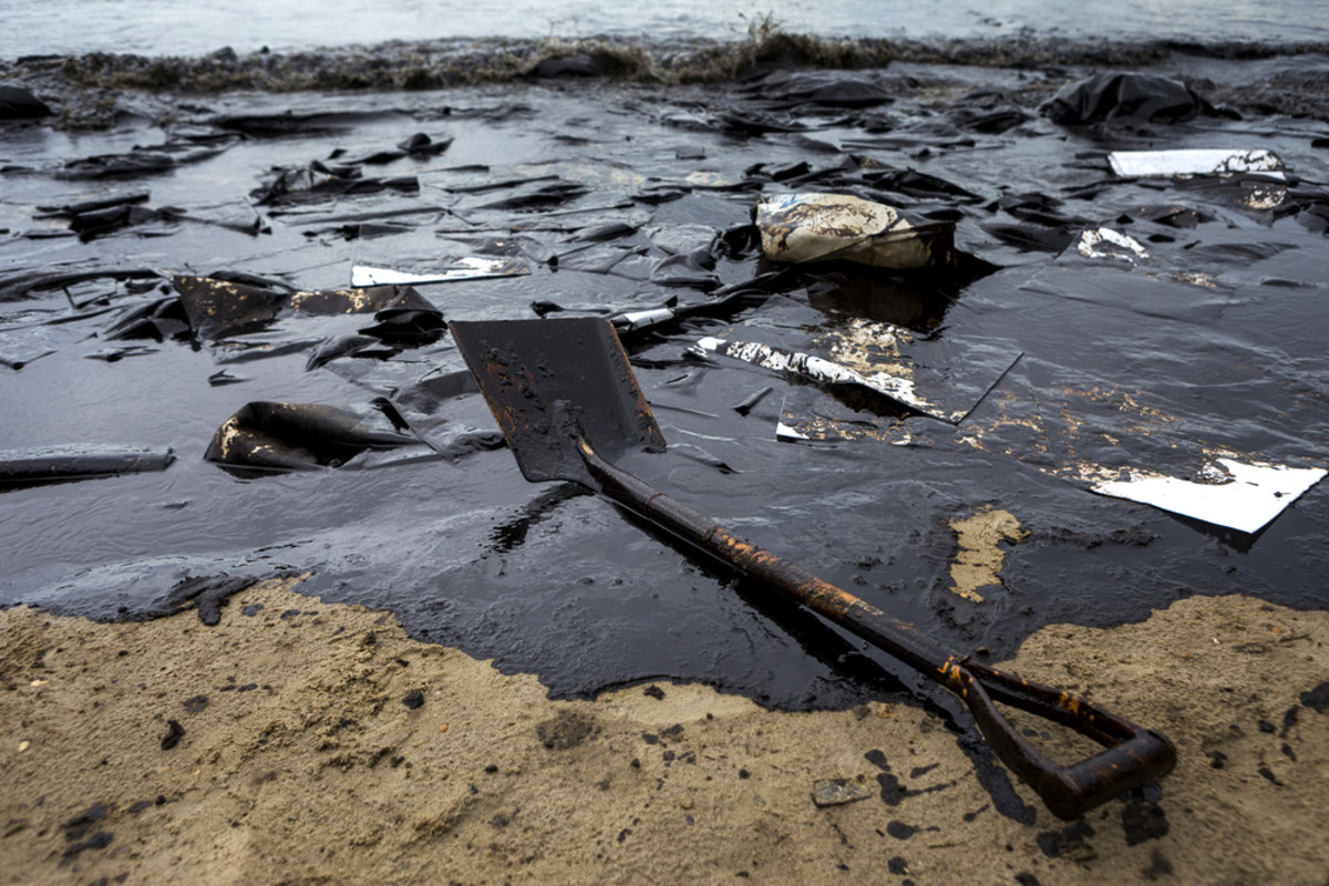 New 'Sponge' Material Is Like a ShamWow for Oil Spills | Discover Magazine