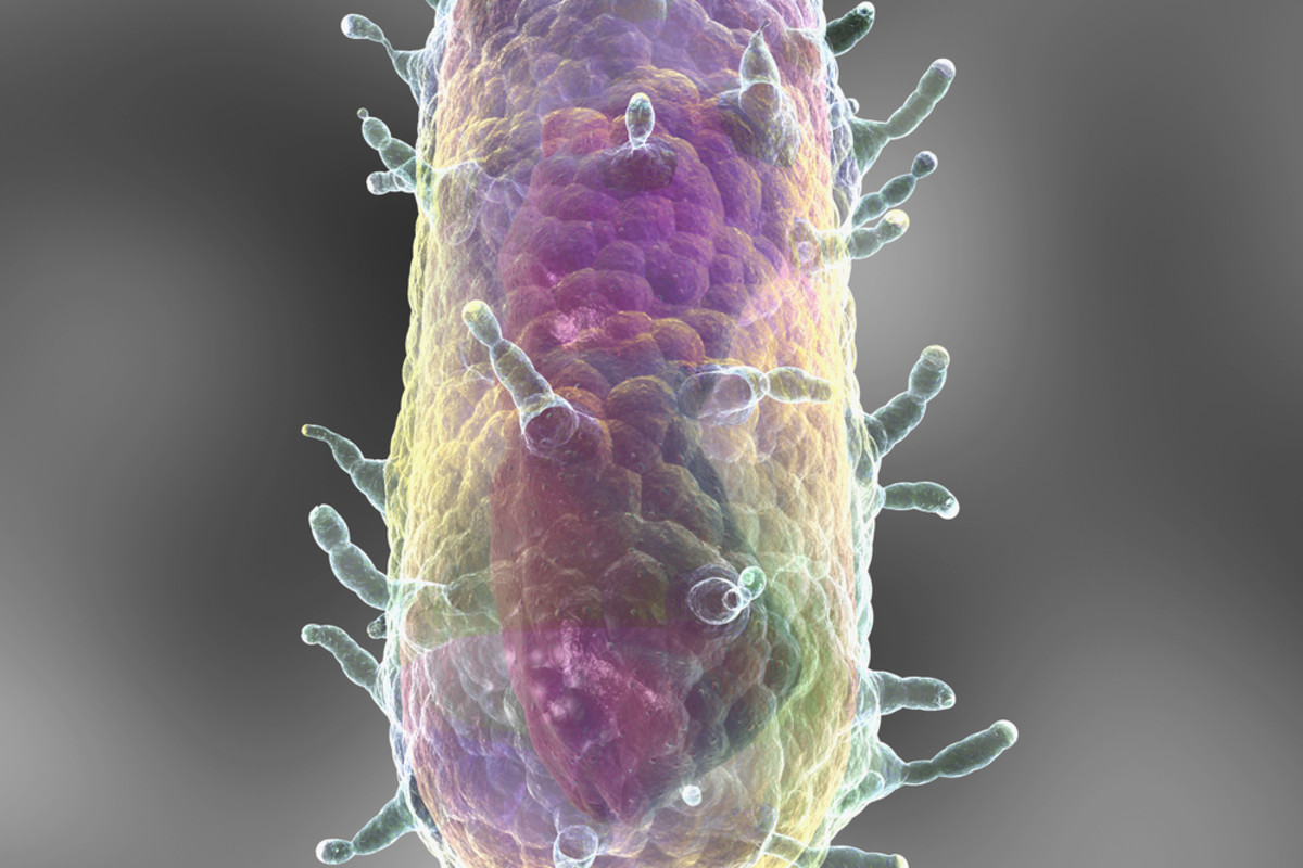 The Bubonic Plague and These 4 Other Diseases Surprisingly Still Exist ...