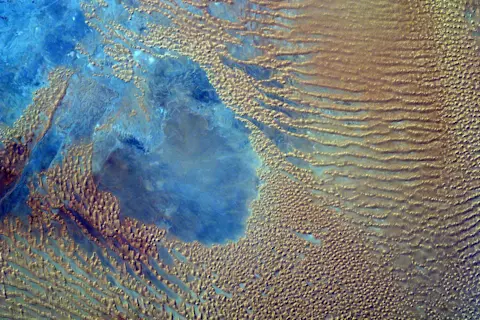 Middle school students help produce a spectacular work of Earth art ...