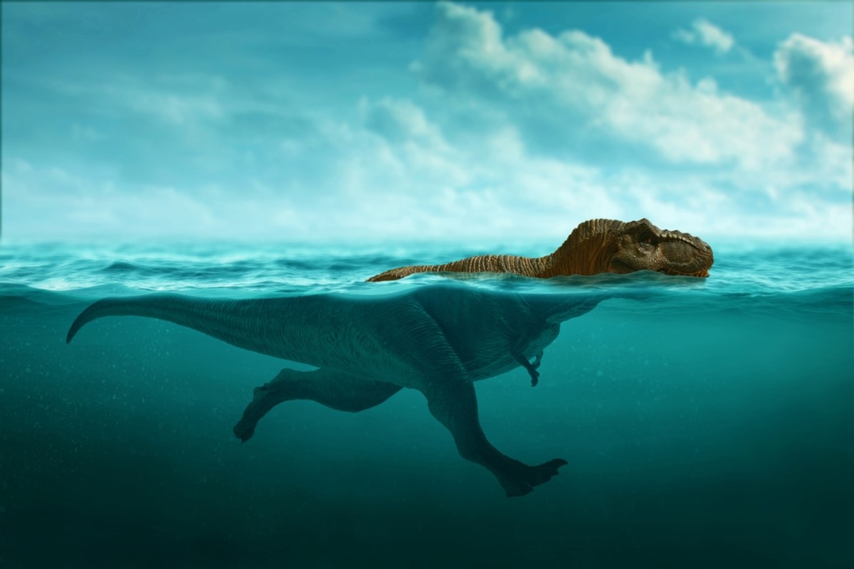 From Bite Force To Speed, Here's How T. Rex and Megalodon Compare ...