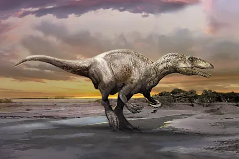 Meet Murusraptor: The Supermodel of Megaraptors | Discover Magazine
