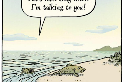 Tetrapod Triumph! Solving Mystery Of First Land Vertebrates | Discover ...