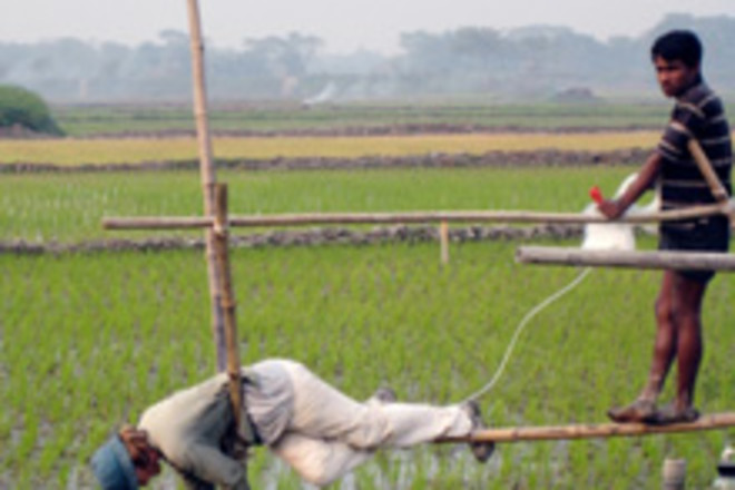 Scientists Solve the Mystery of Bangladesh's Arsenic-Tainted Water ...