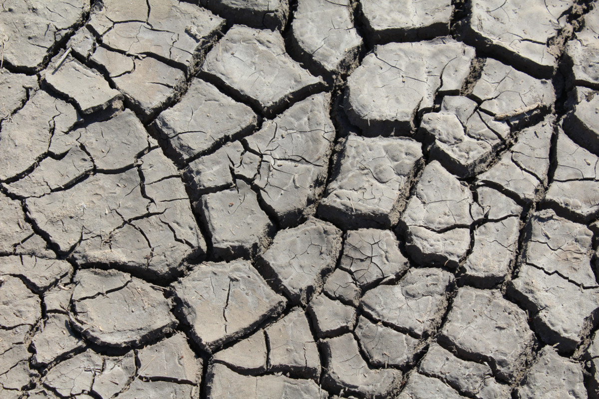 How Heat Death Threatens Earth, Even If We Achieve Net Zero | Discover ...