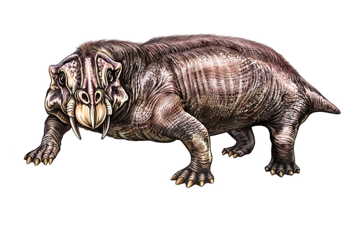 Fossils Inspired This South African Rock Art That Depicted Mythical ...