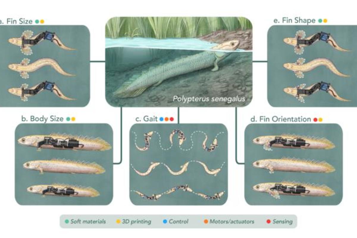 Robots That Mimic Ancient Creatures Could Recreate Key Moments in ...
