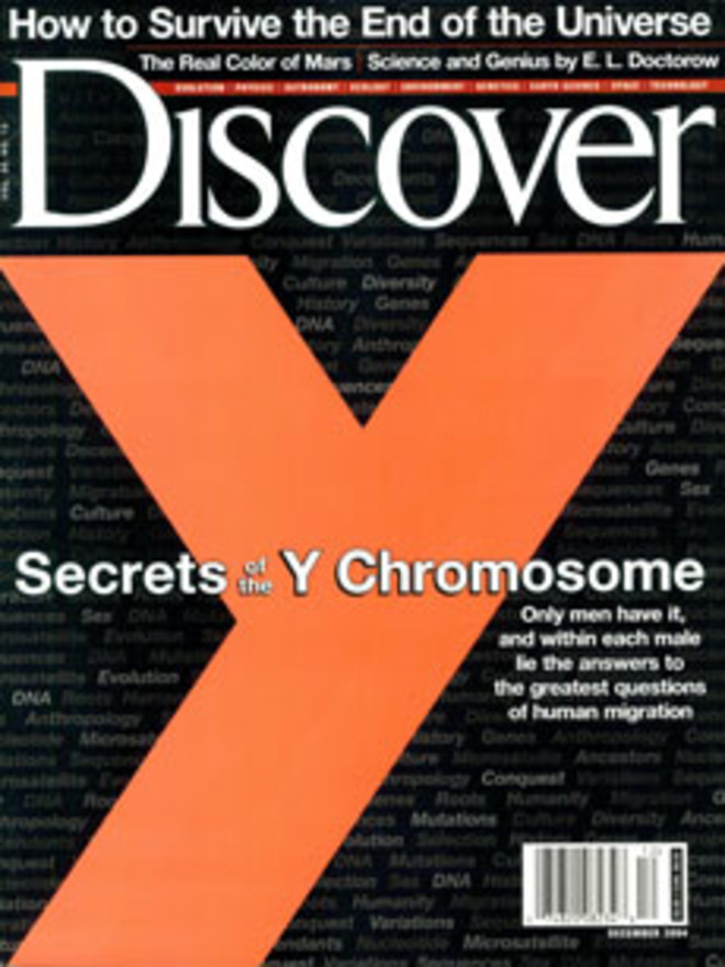 2004 Issues | Discover Magazine