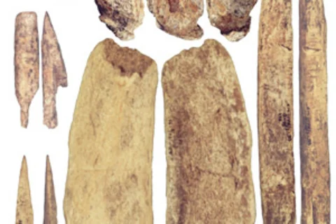 How Europeans Got to Europe | Discover Magazine