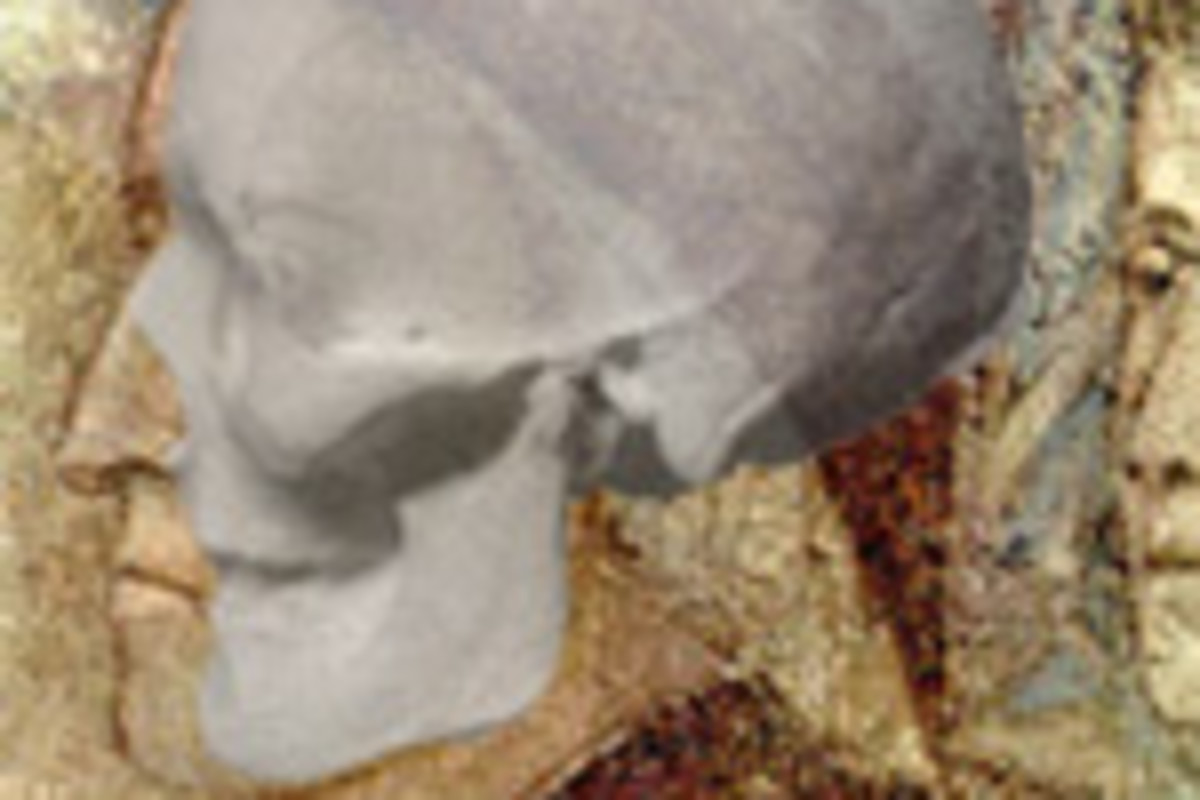 You Look Like Hell | Discover Magazine