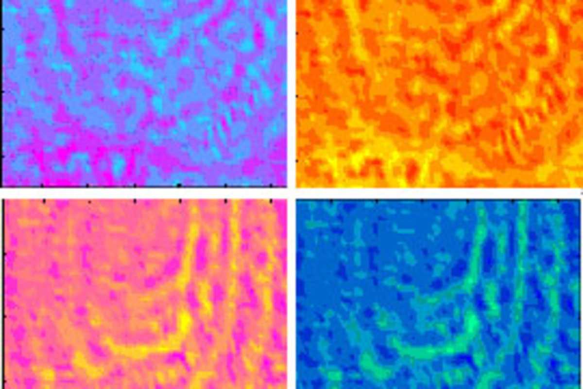 Fingerprint Technique Shows What You've Eaten | Discover Magazine