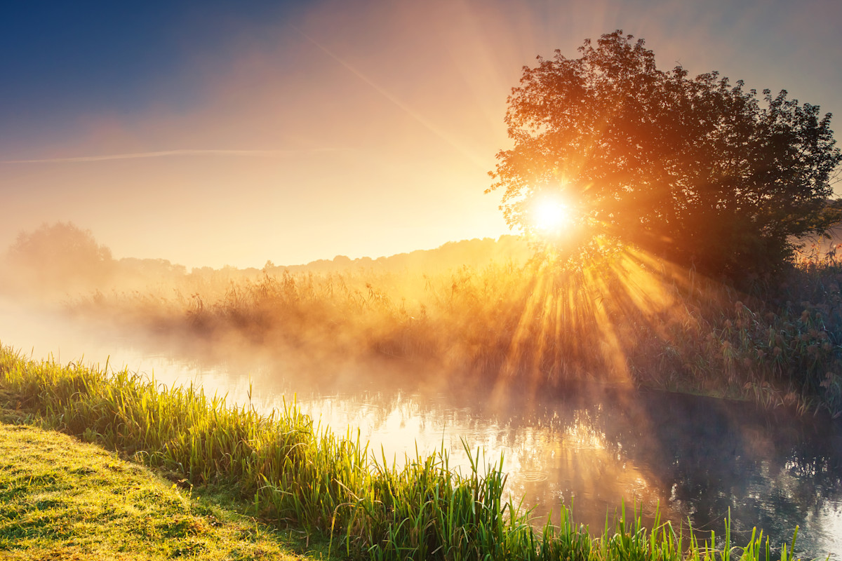 20 Things You Didn't Know About... The Summer Solstice | Discover Magazine