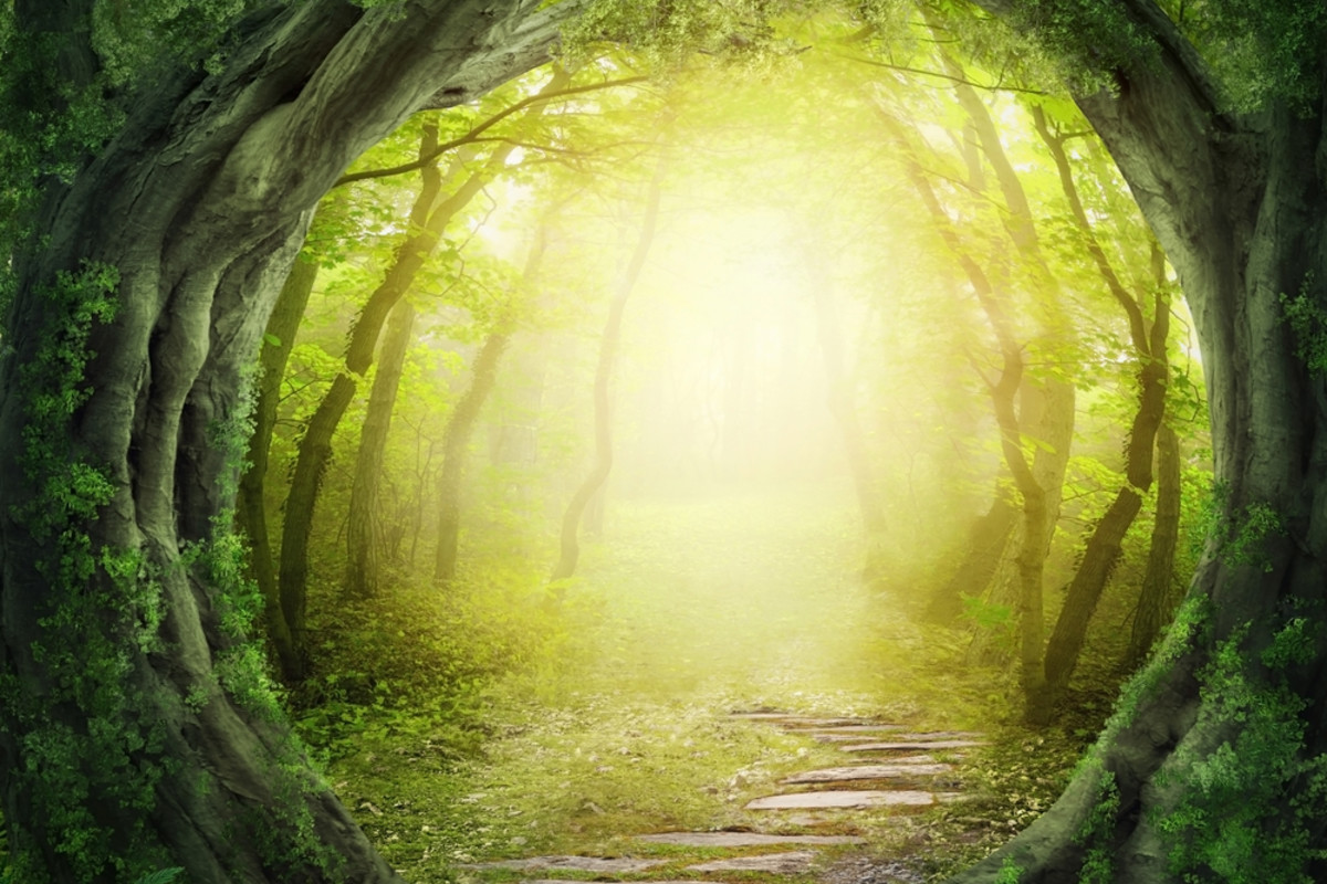 Inner Visions | Discover Magazine