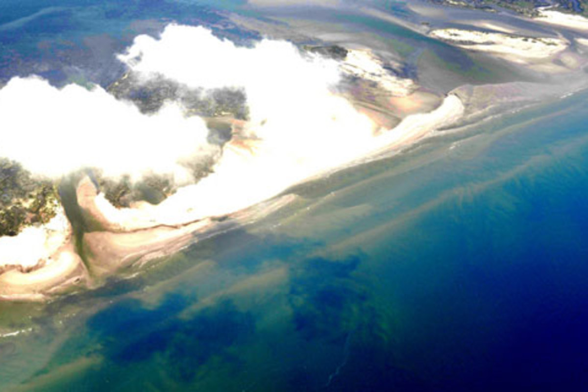 #39: Ocean Microbes Clean Up Gulf Mess | Discover Magazine