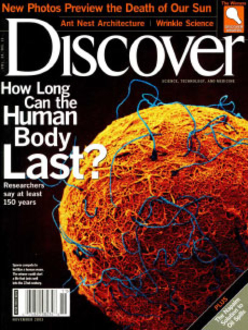 November Issue | Discover Magazine