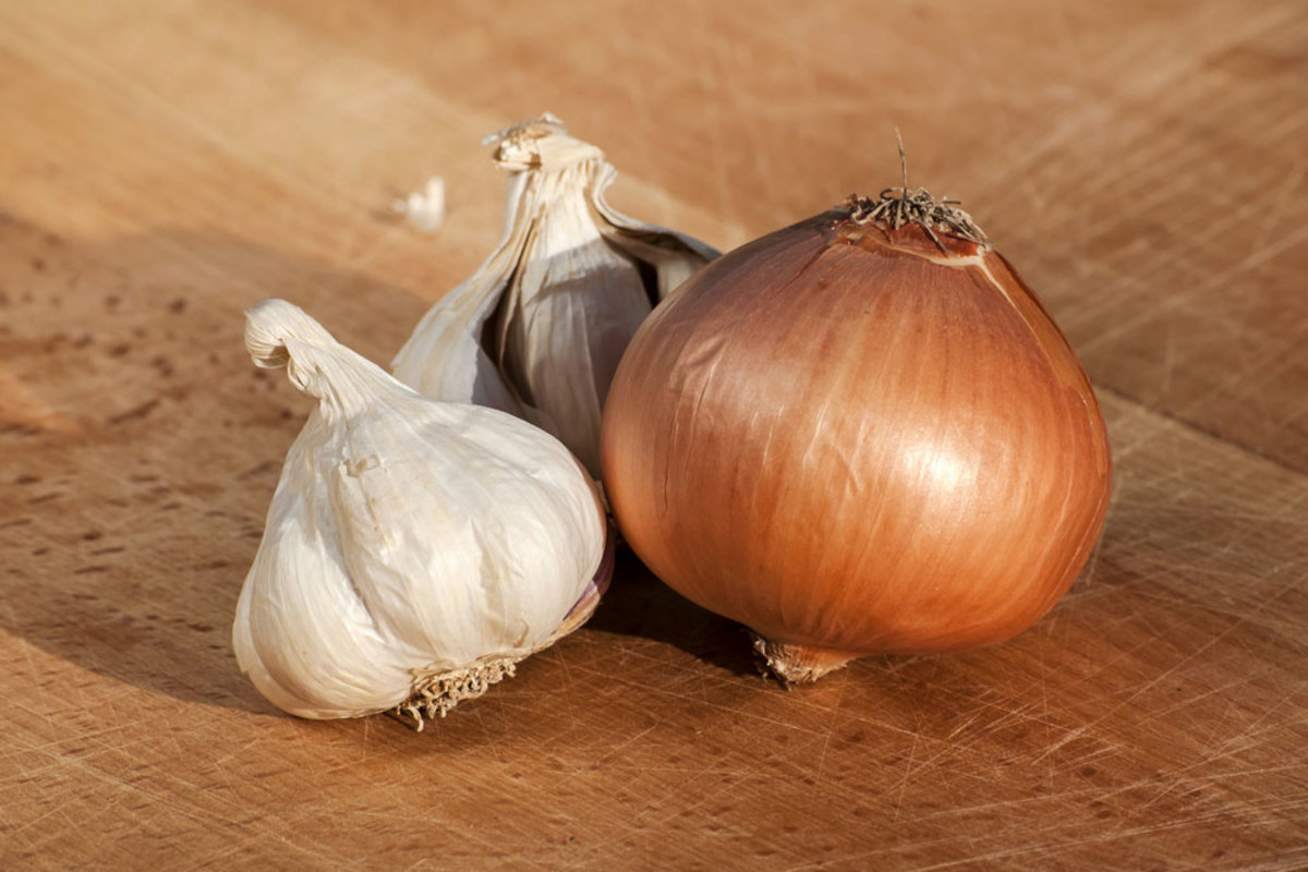 Onions as Toxic Cleanup Sponges | Discover Magazine
