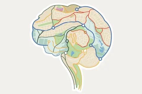 Found: The Brain's Own GPS | Discover Magazine