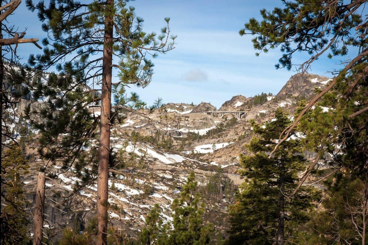 What If the Donner Party Didn't Resort to Cannibalism? | Discover Magazine