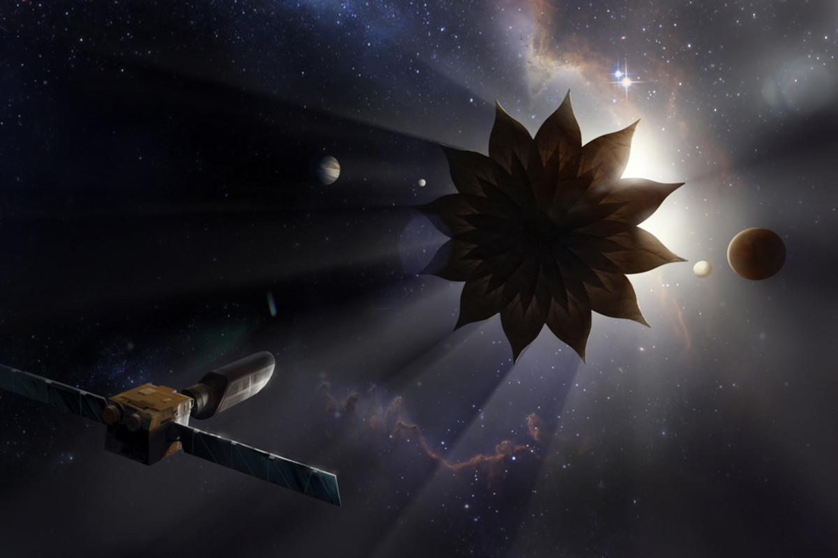 Made in the Shade | Discover Magazine