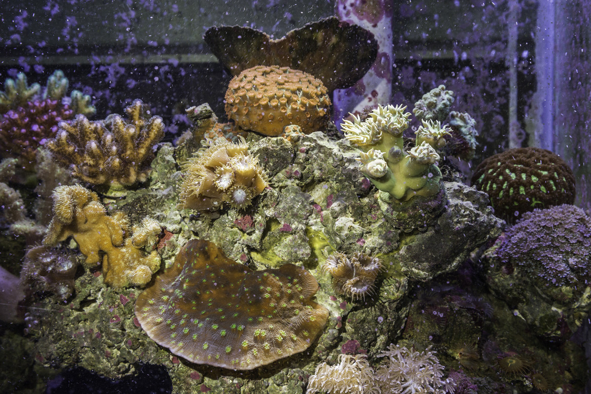 Everything Worth Knowing About ... Microbiomes | Discover Magazine