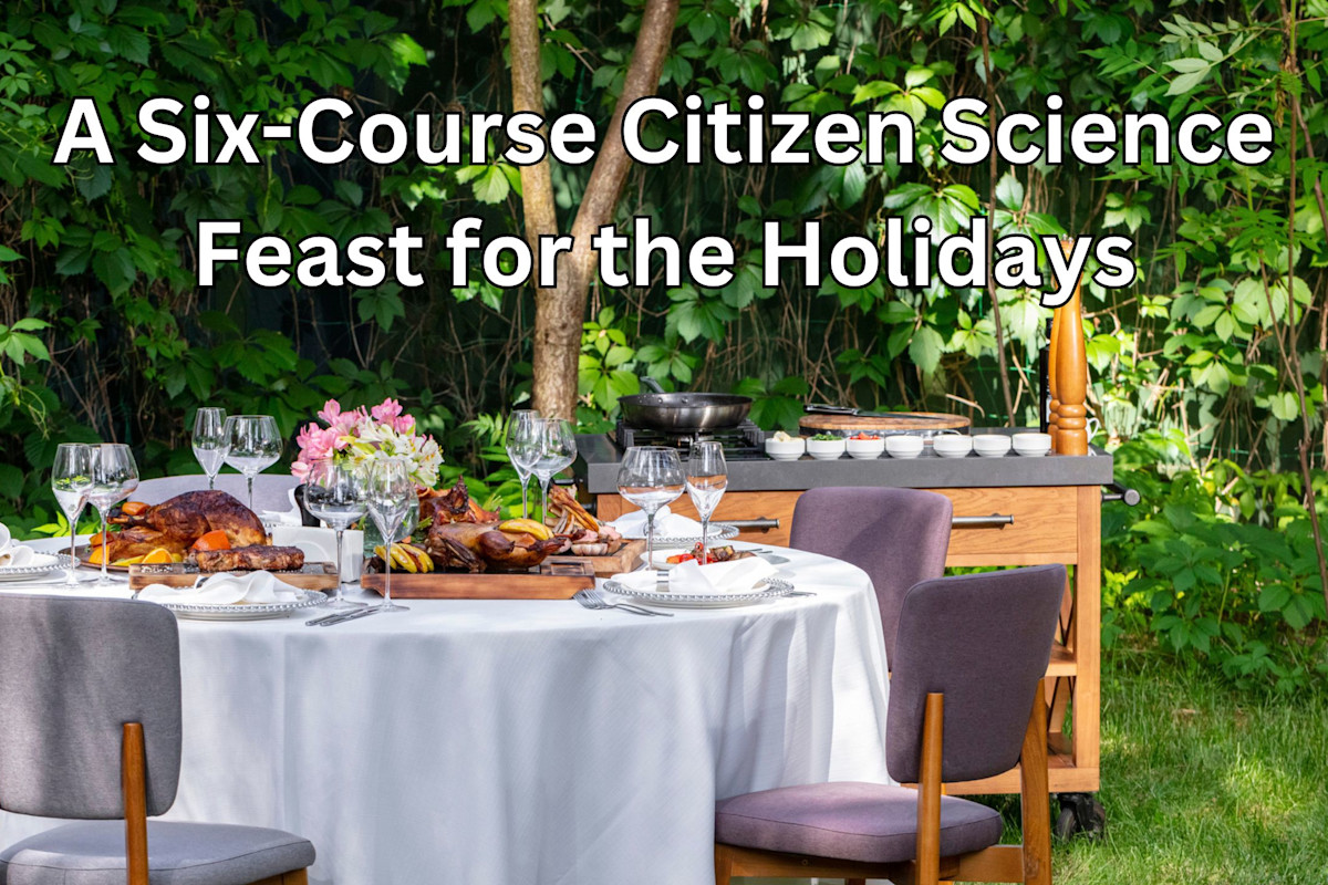 A Six-Course Citizen Science Feast for the Holidays! | Discover Magazine