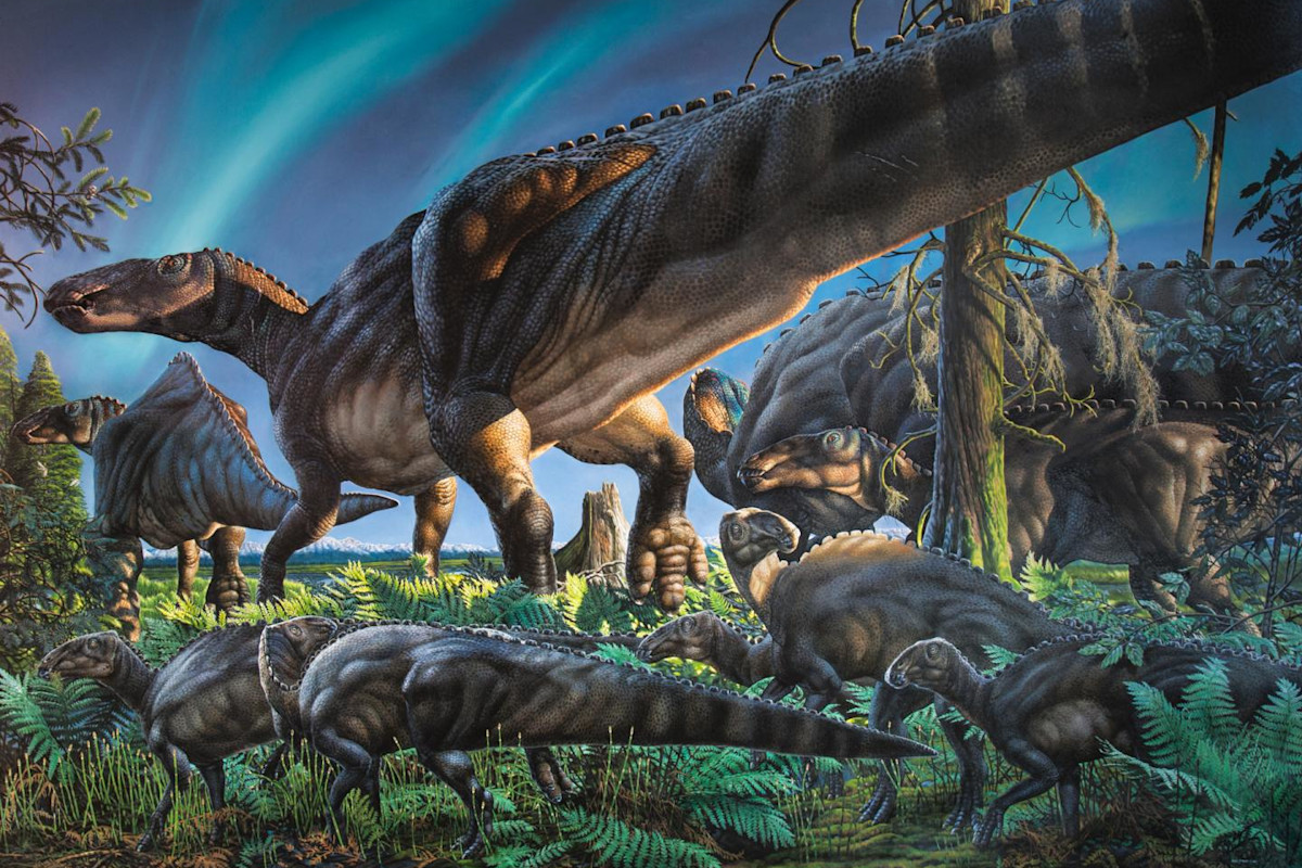 Cows of the Cretaceous: 4 Fascinating Duck-Billed Dinosaurs | Discover ...