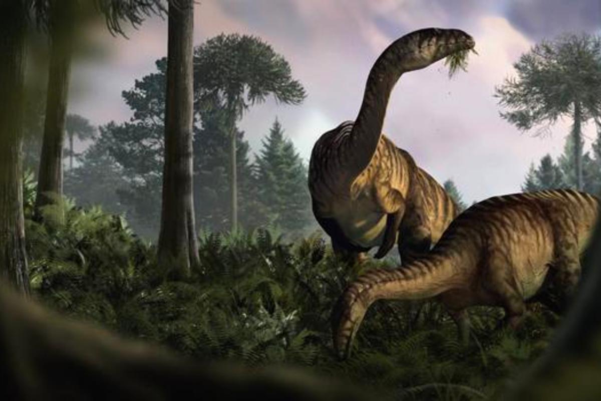 Fossilized Dinosaur Poop Helps Explain 30-Million-Year Evolutionary Gap ...