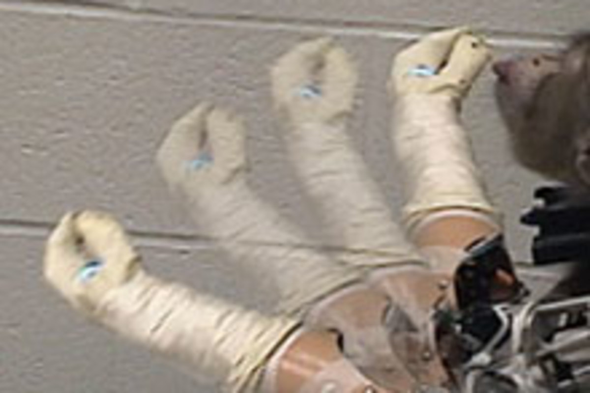 Bionic Monkeys! | Discover Magazine