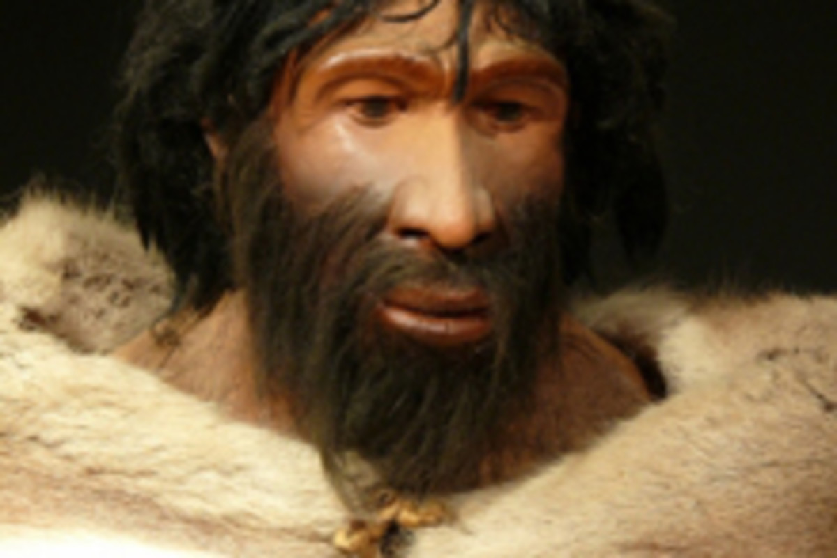 Studying Neanderthal Brain Development, One (Indirect) CT Scan at a ...