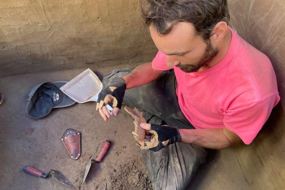 Canines Were Human Companions 2,000 Years Earlier Than Previously ...