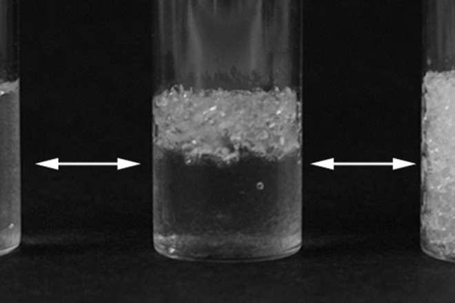Clear As Mud: Researchers Make Transparent Soil For Plant Research ...