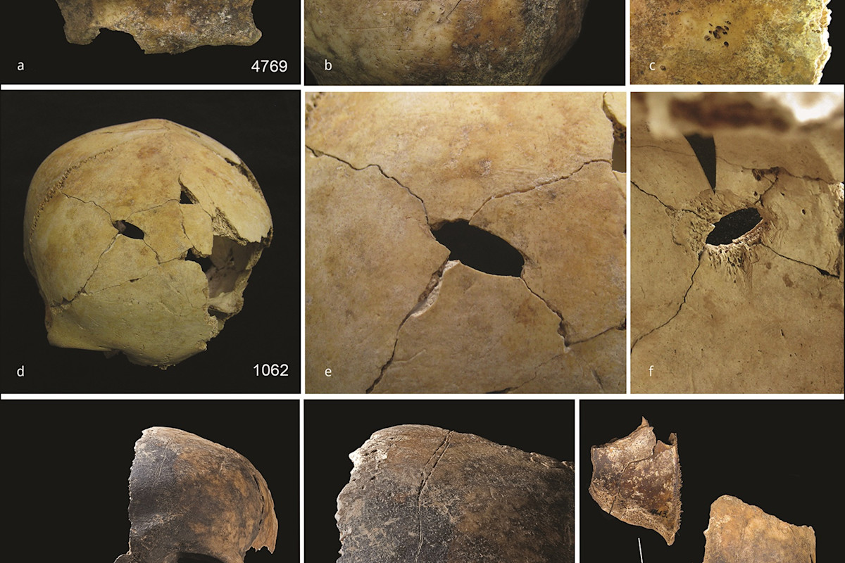 Bronze Age Bones Indicate Violent Death and Possible Cannibalism ...