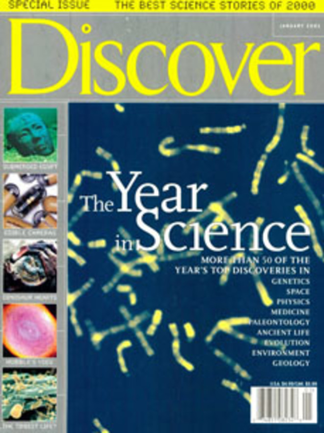 January Issue | Discover Magazine