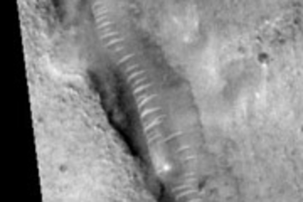 The worm, turned | Discover Magazine