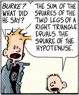 Acute cartoon | Discover Magazine