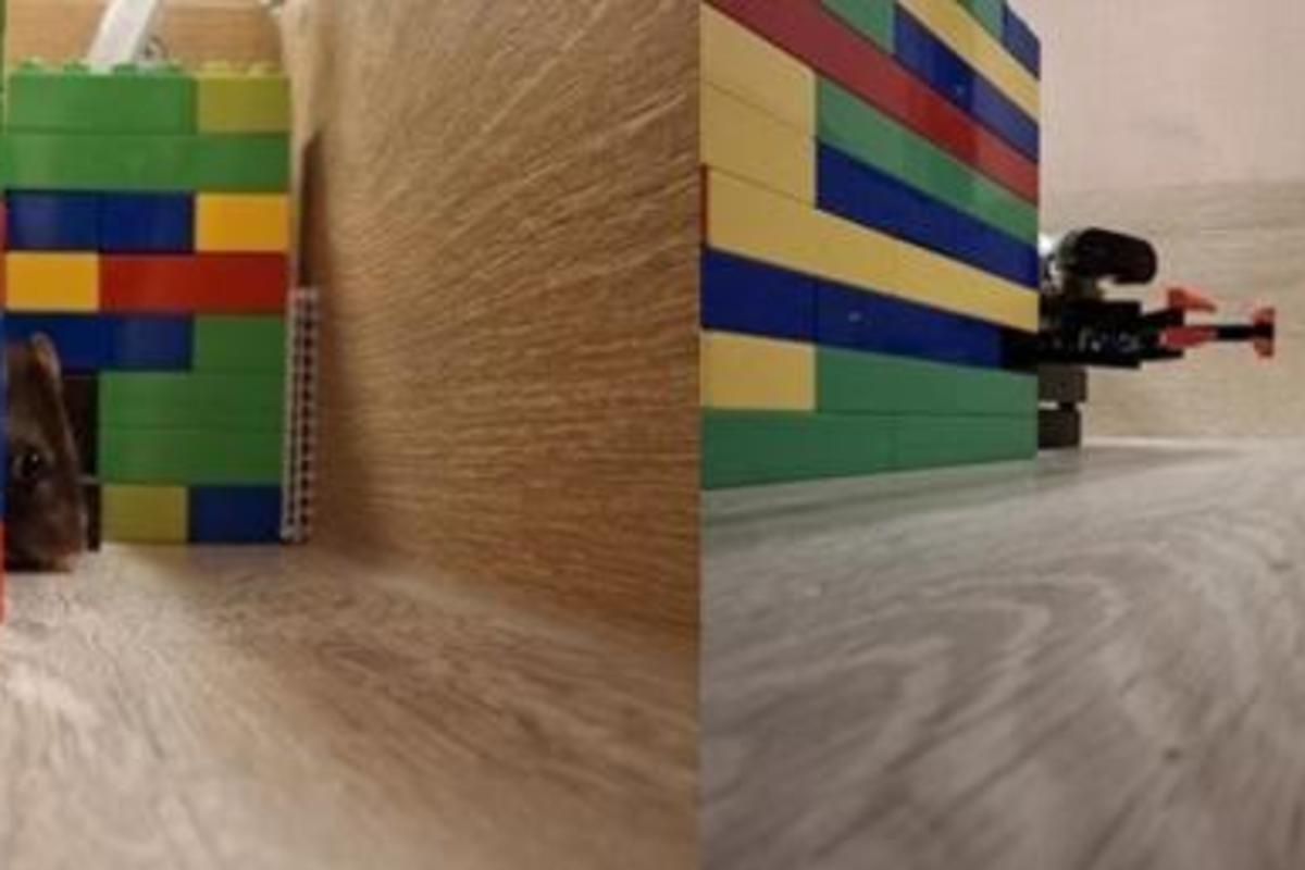Rats Facing Lego Robot Scorpions May Help Understand Human Anxiety ...