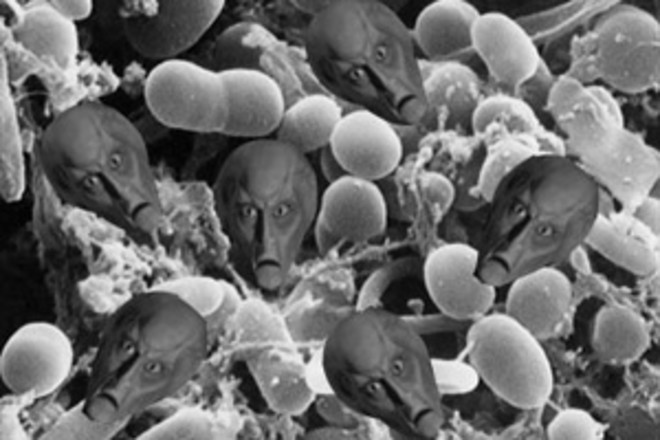 Will we find life in space? | Discover Magazine