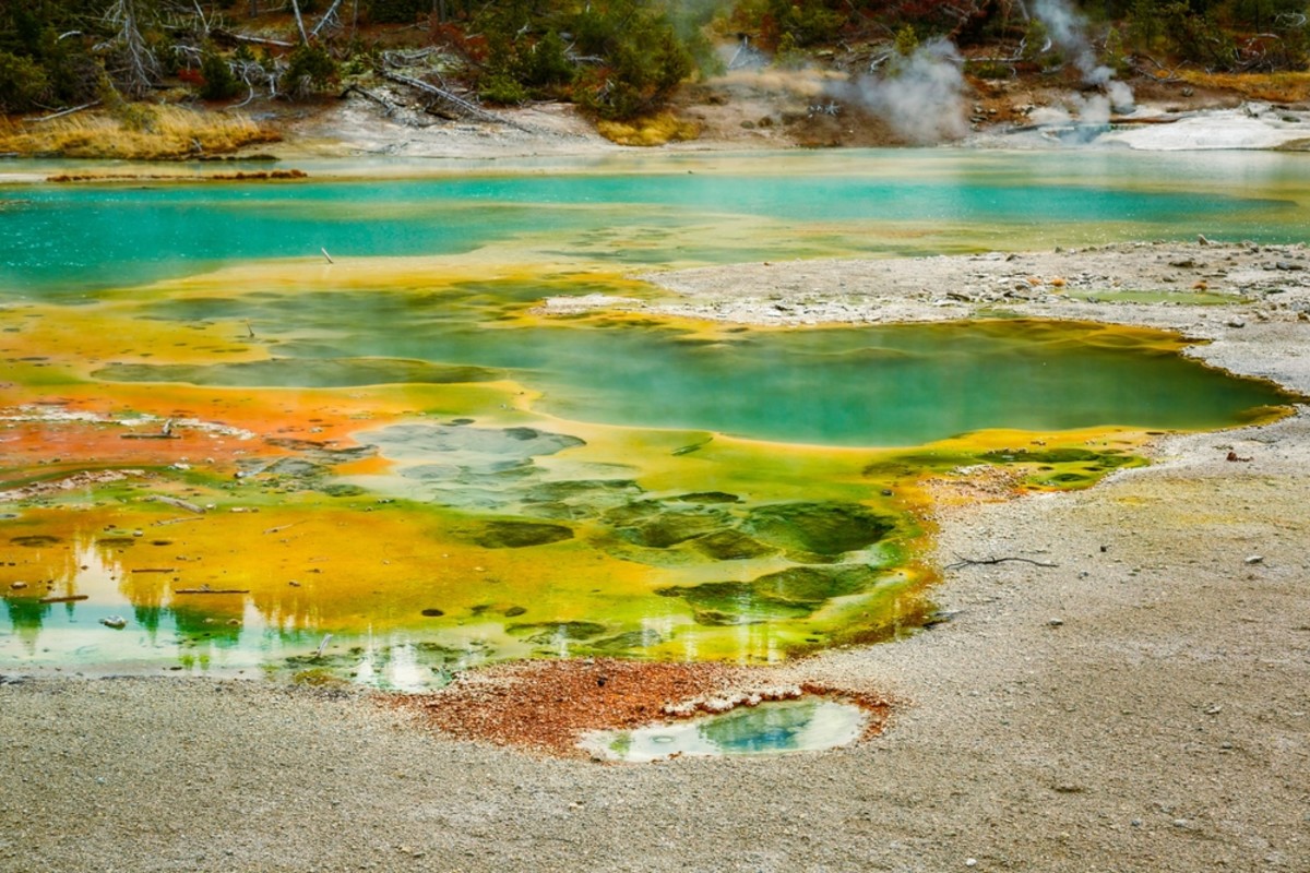 Microbes in Yellowstone Thermal Pools Could Shed Light on Ancient Life ...