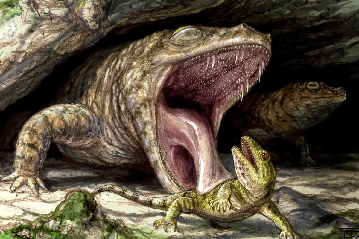 Ancient Frogs Survived Earth's Greatest Mass Extinction Event by Not ...