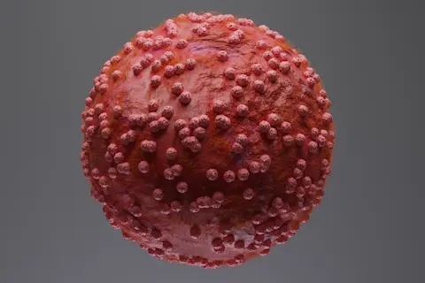 Everything You Need to Know About Hantaviruses | Discover Magazine