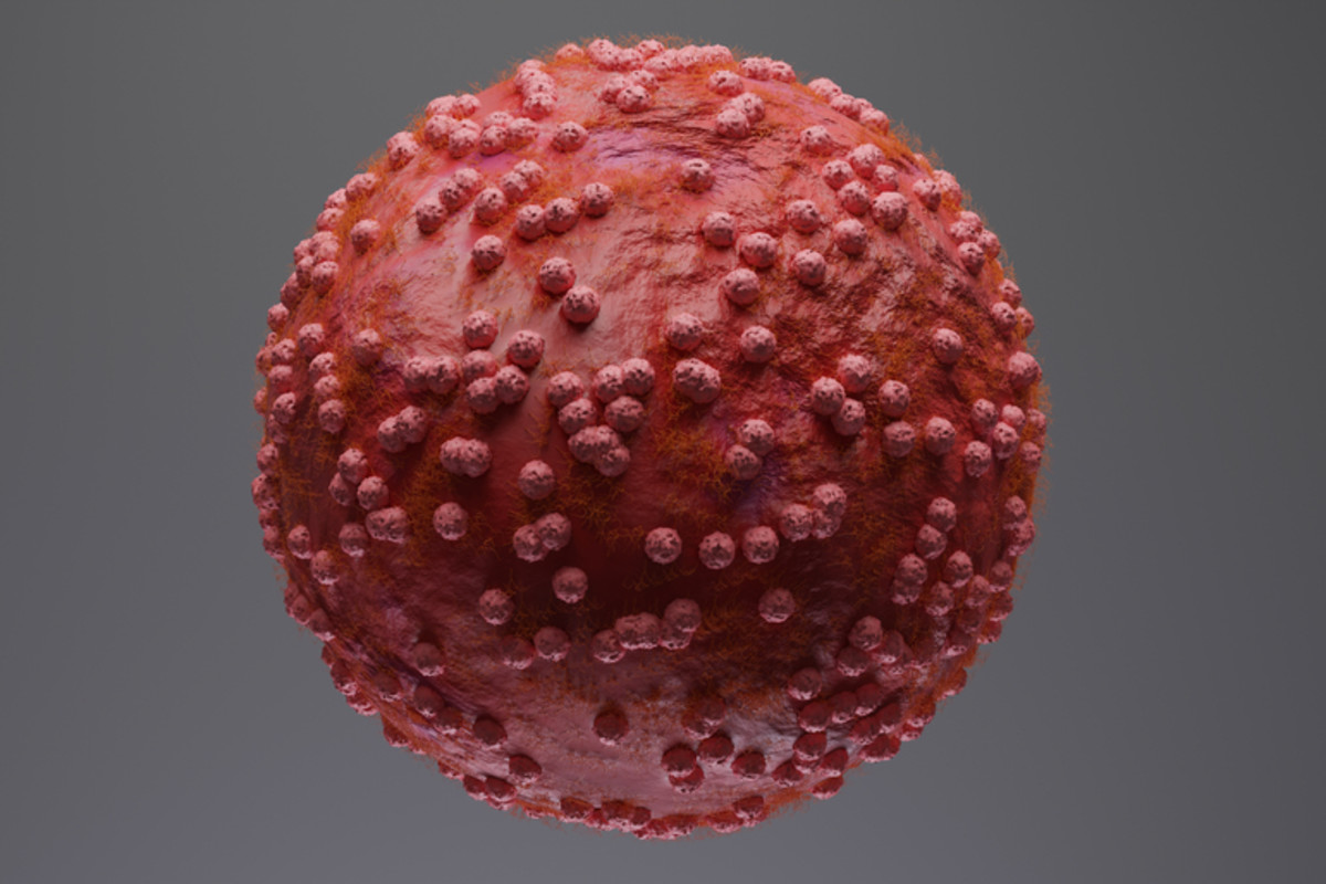 Everything You Need to Know About Hantaviruses | Discover Magazine